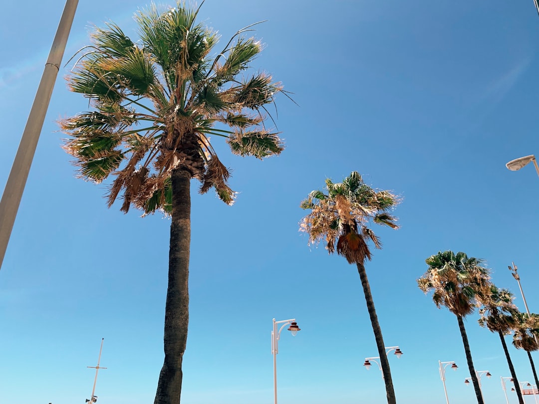 auto dealer bond Florida: Essential 2025 Guide